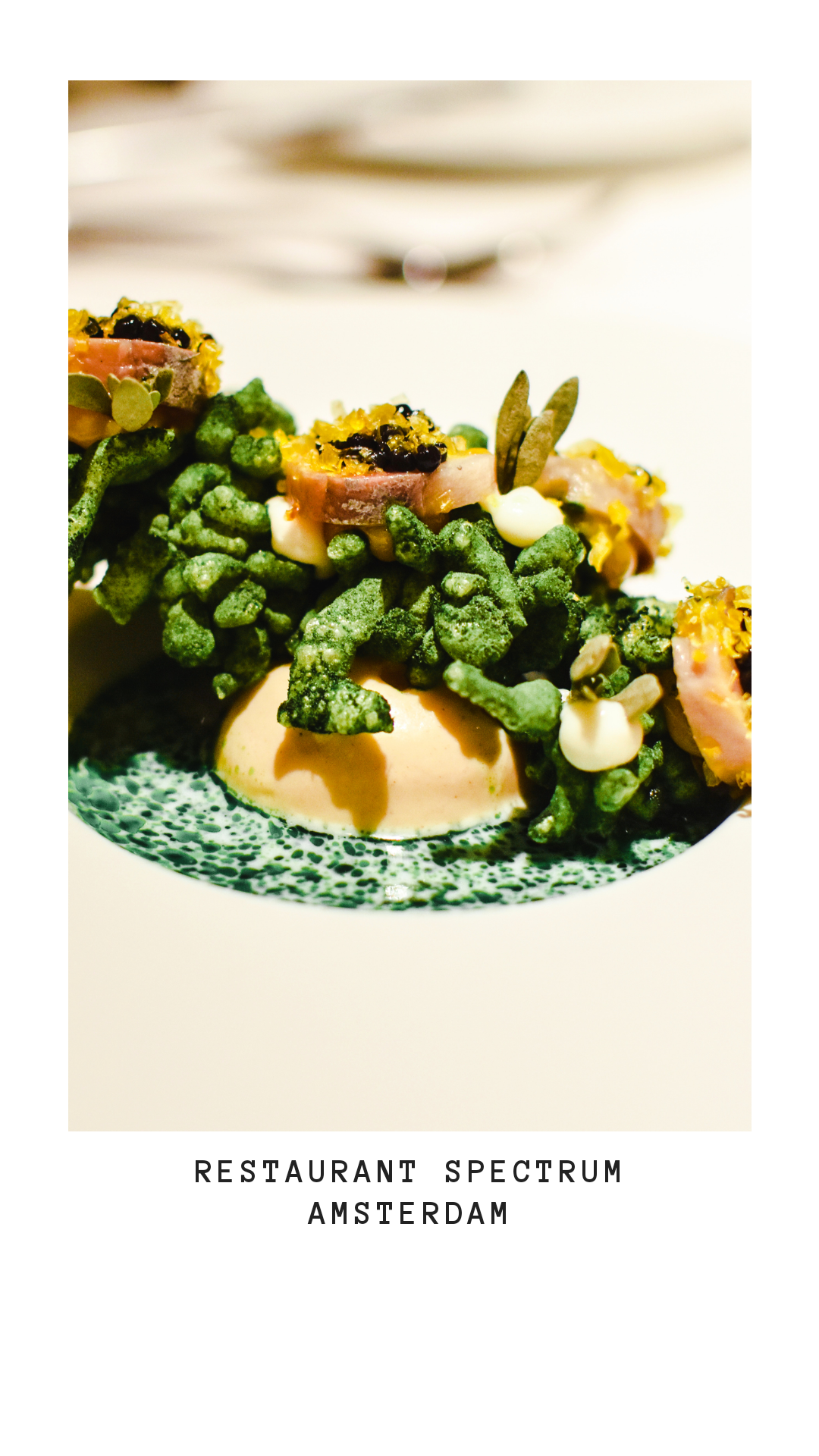 Restaurant Spectrum ** in Amsterdam - Anne Travel Foodie