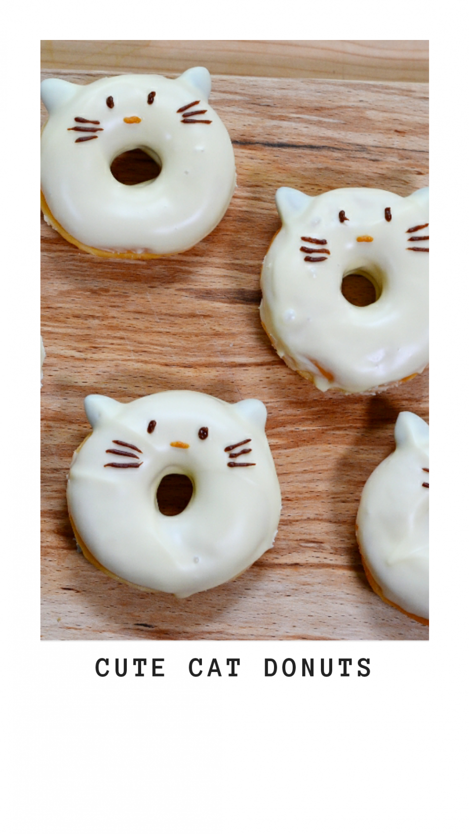 Cute cat donuts - Anne Travel Foodie