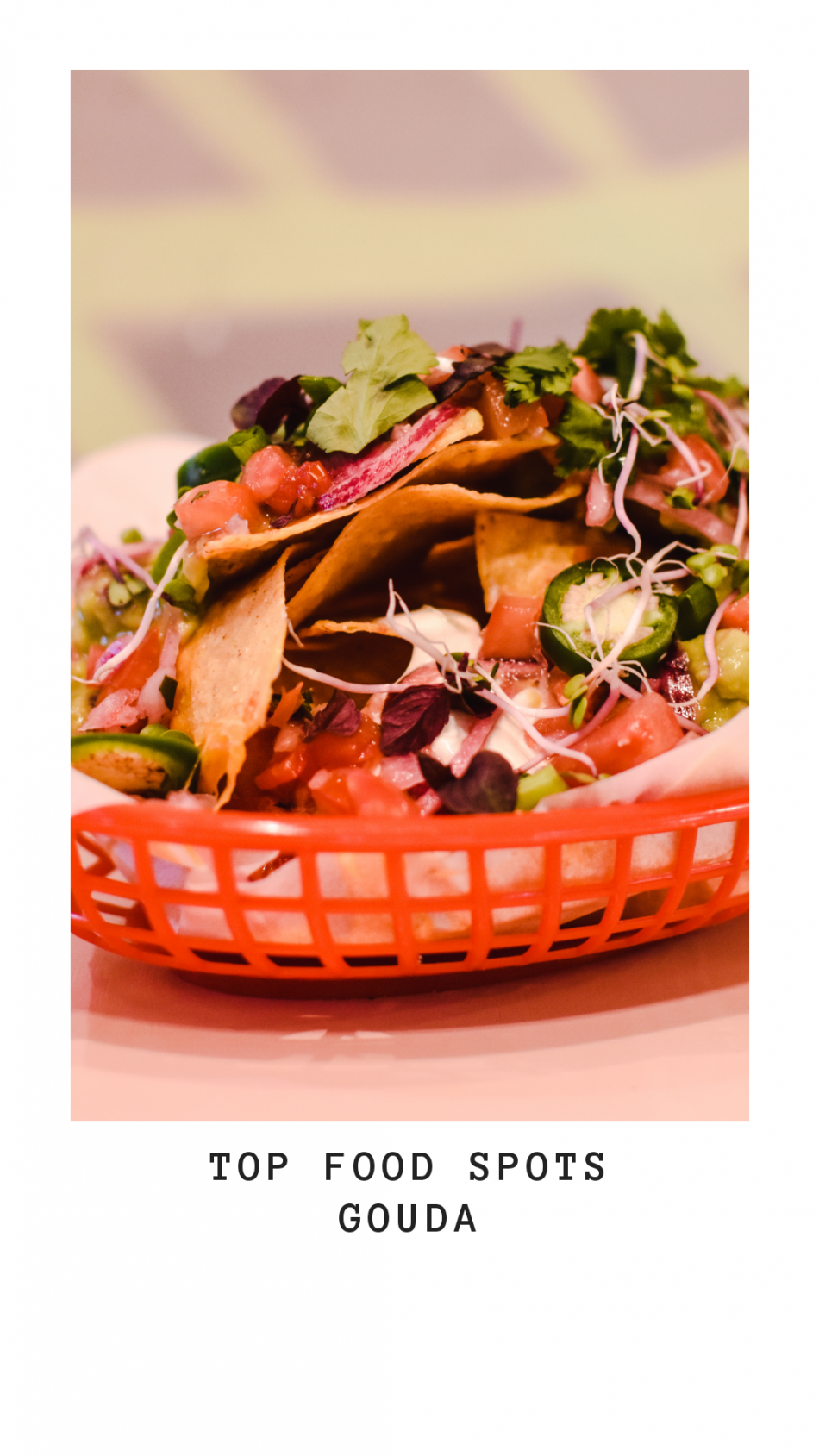 Best Food Spots in Gouda - Anne Travel Foodie