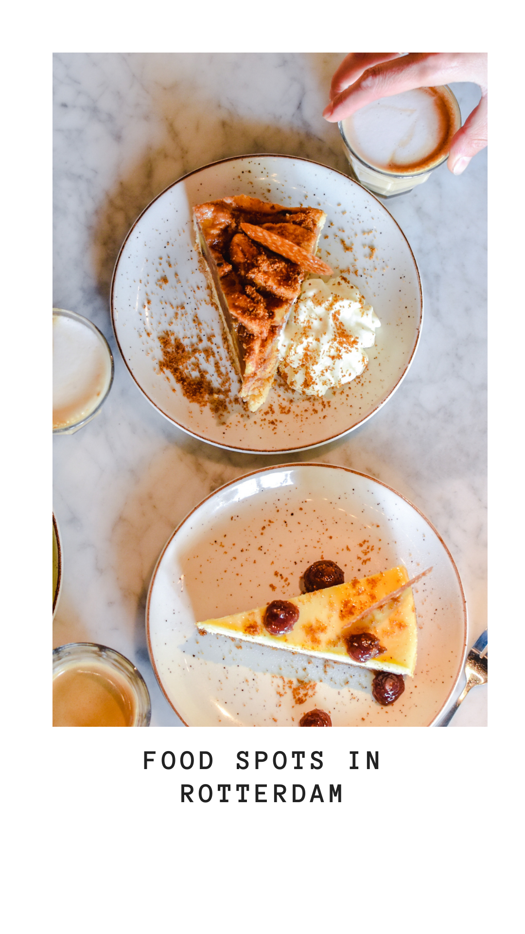 Hotspots in Rotterdam - Anne Travel Foodie