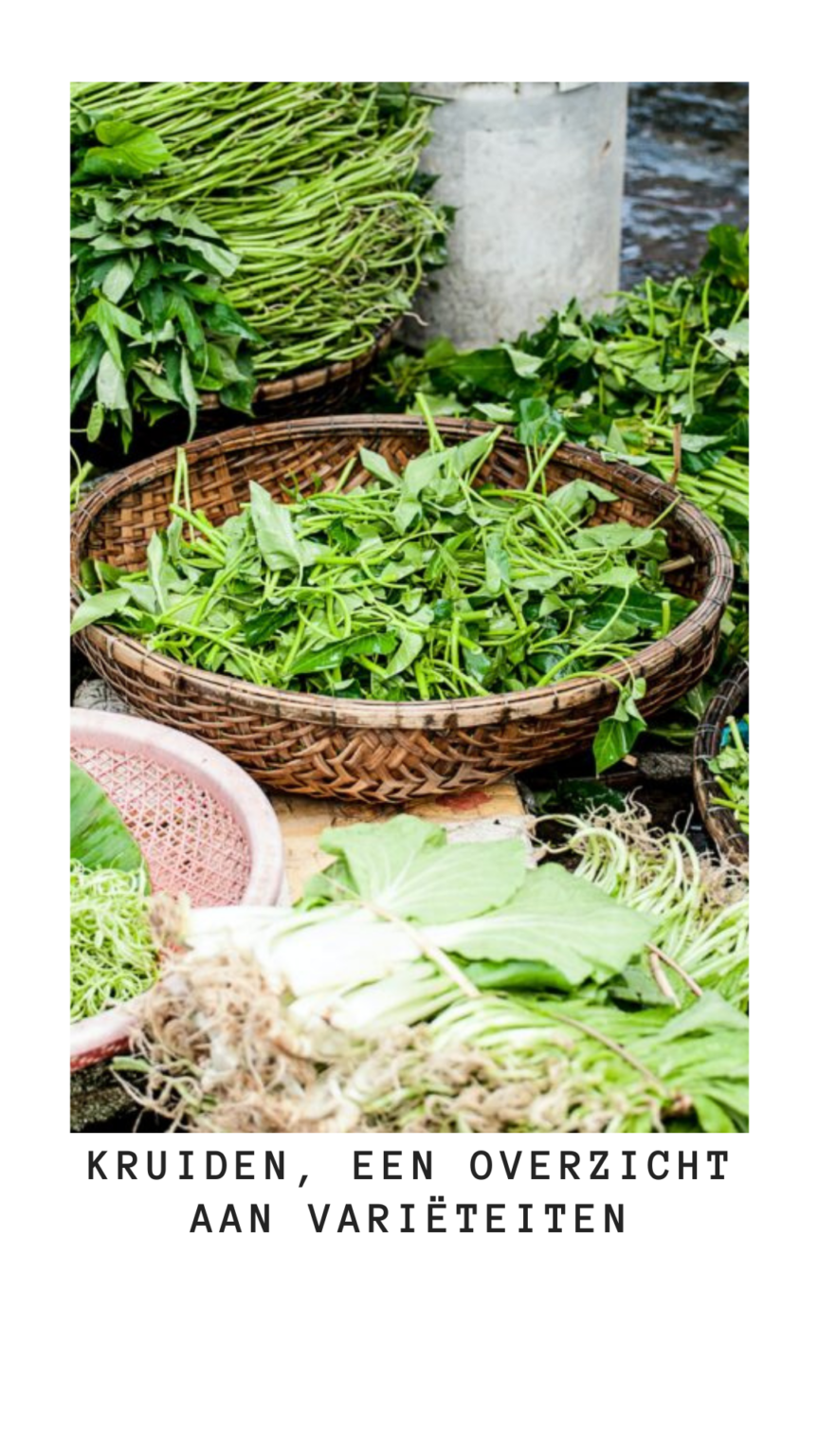 Kruiden: Een Overzicht van Variëteiten - Anne Travel Foodie
